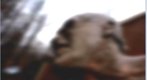 The Rake - UrbanLegendsOnline.com